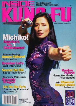 Kung Fu Movie Guide